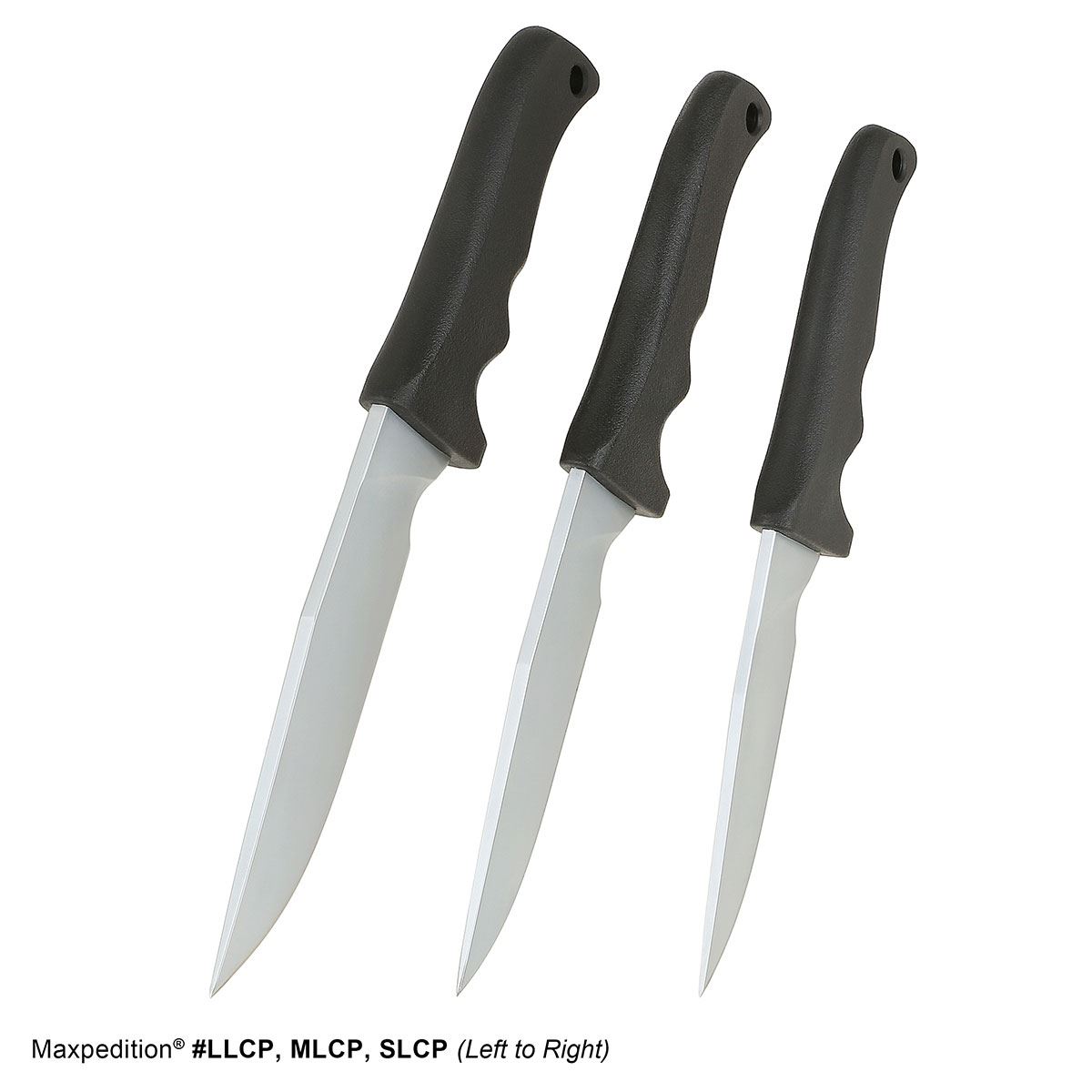 Small Long Clip Point Fixed Blade Knife (Plain Edge) | Knife Store Canada