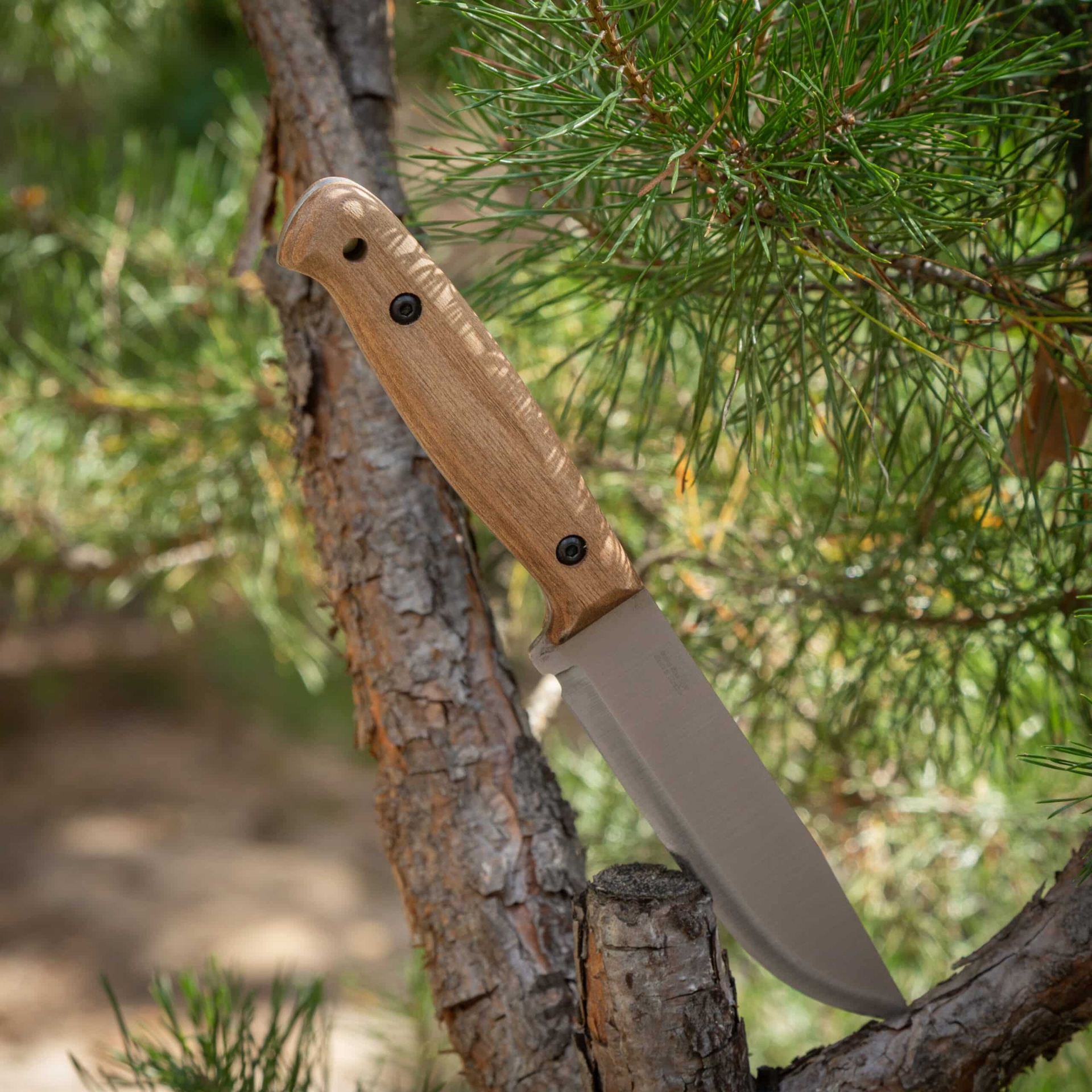 Adventurer CSHF Bushcraft Knife | BPS Knives | Adventure Gear Canada