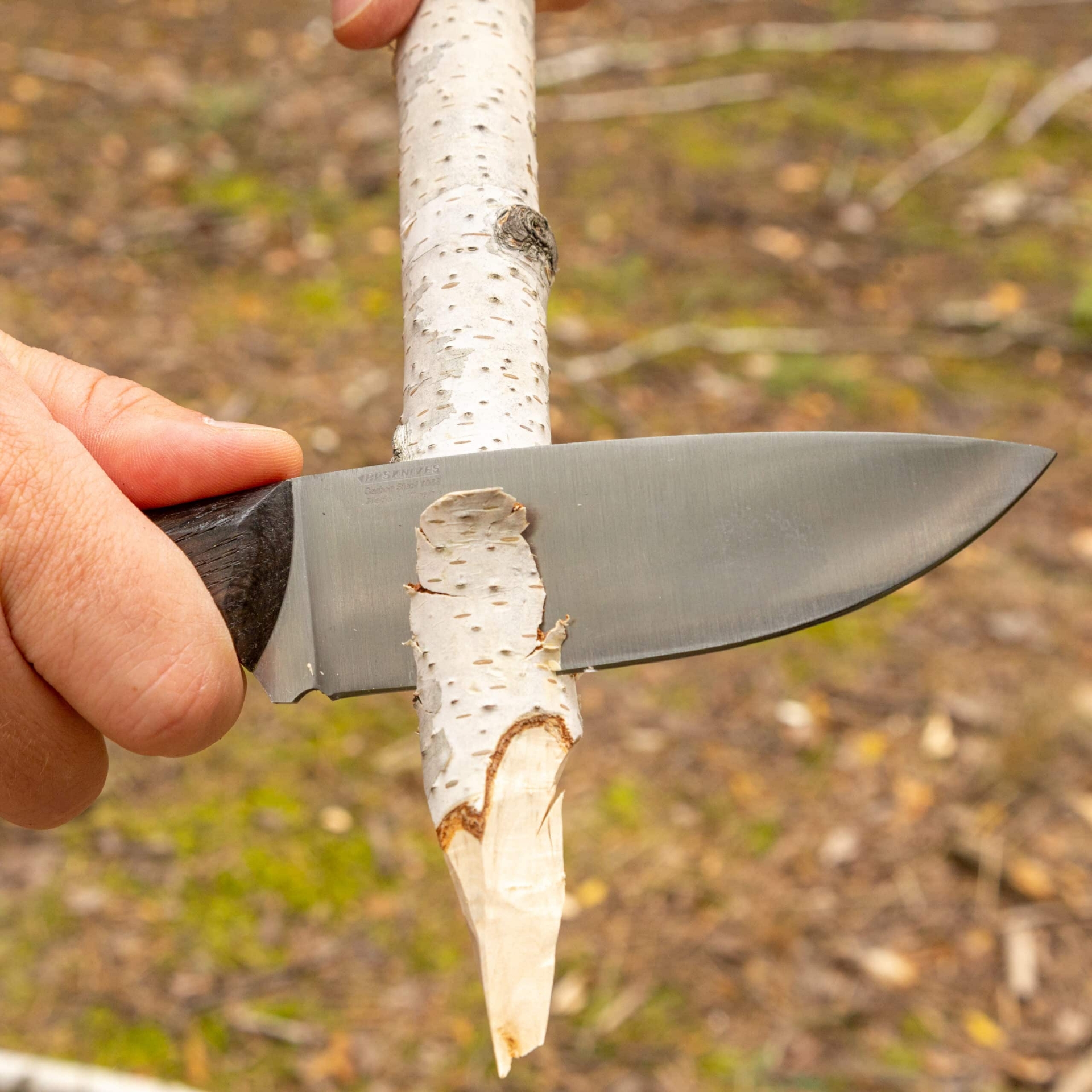 Savage CSH Bushcraft Knife | BPS Knives | Adventure Gear Canada