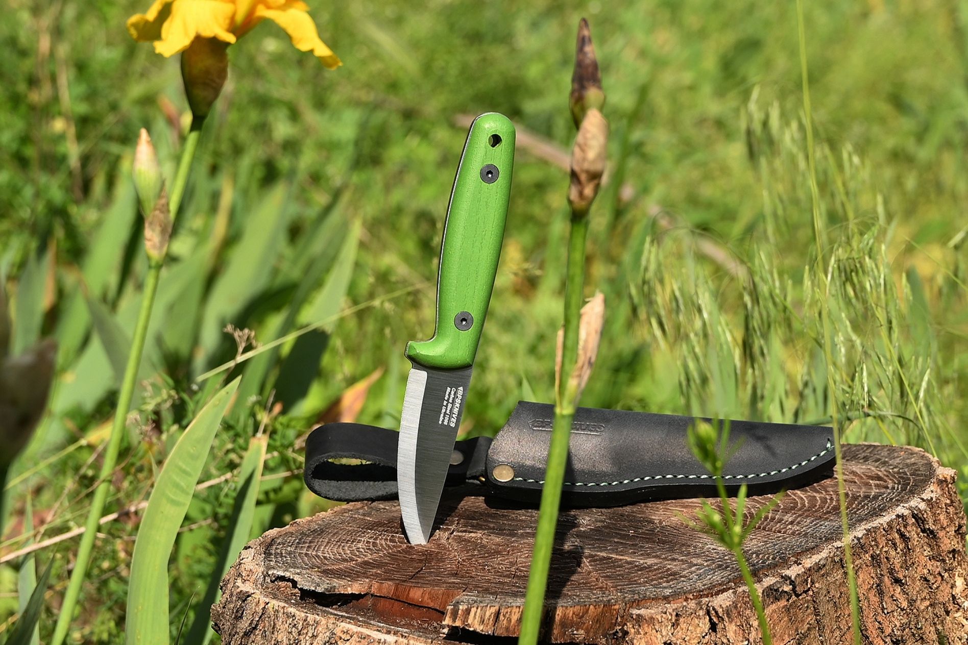 Spring Blunt Knife | BPS Knives | Adventure Gear Canada